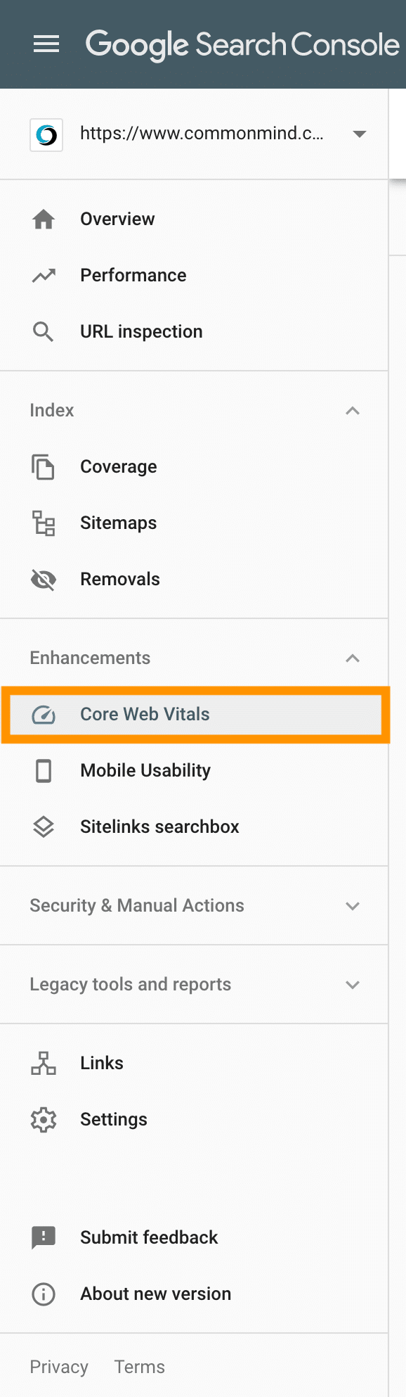 Google's Core Web Vitals Update: Here's What You Need to Know